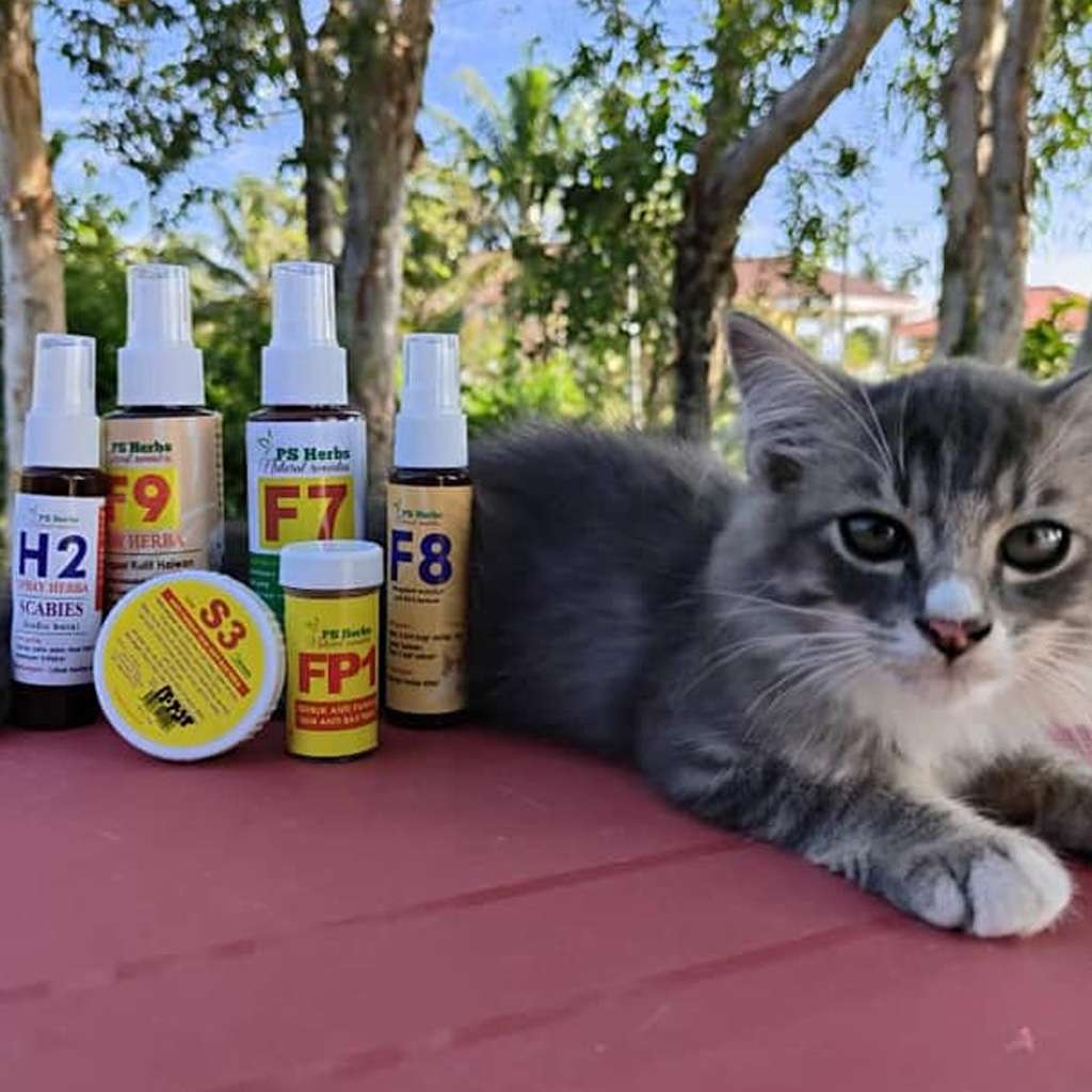 Teratai Maju stokis PS Herbs di Bachok, Kelantan• Ps Herbs