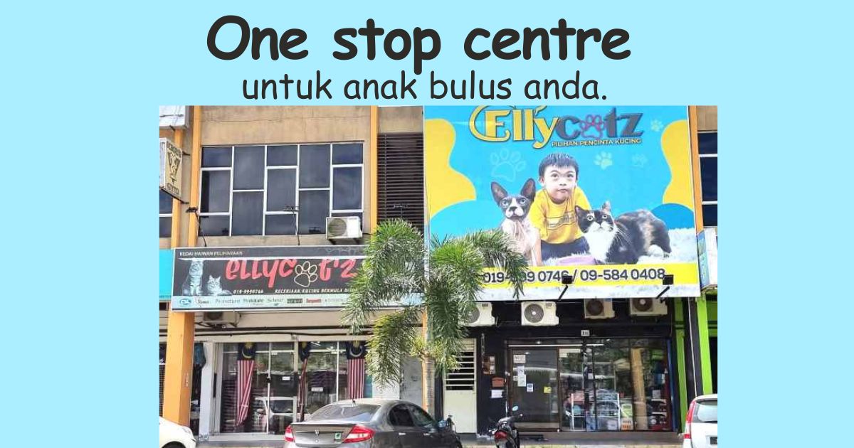 Ubat herba PS Herbs ada di Elly Catz Kuantan